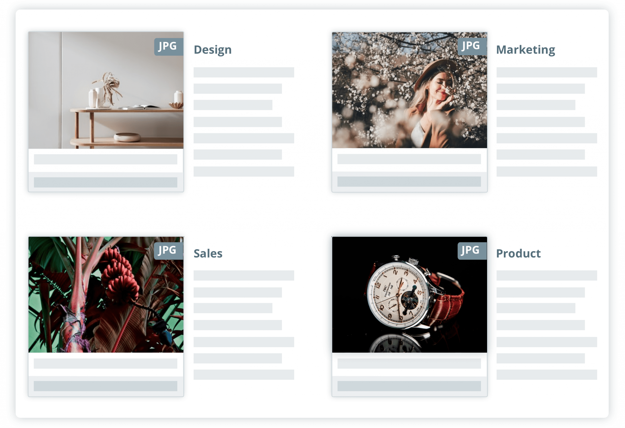 Image Database Software: How to Choose the Right Tool for Your Business