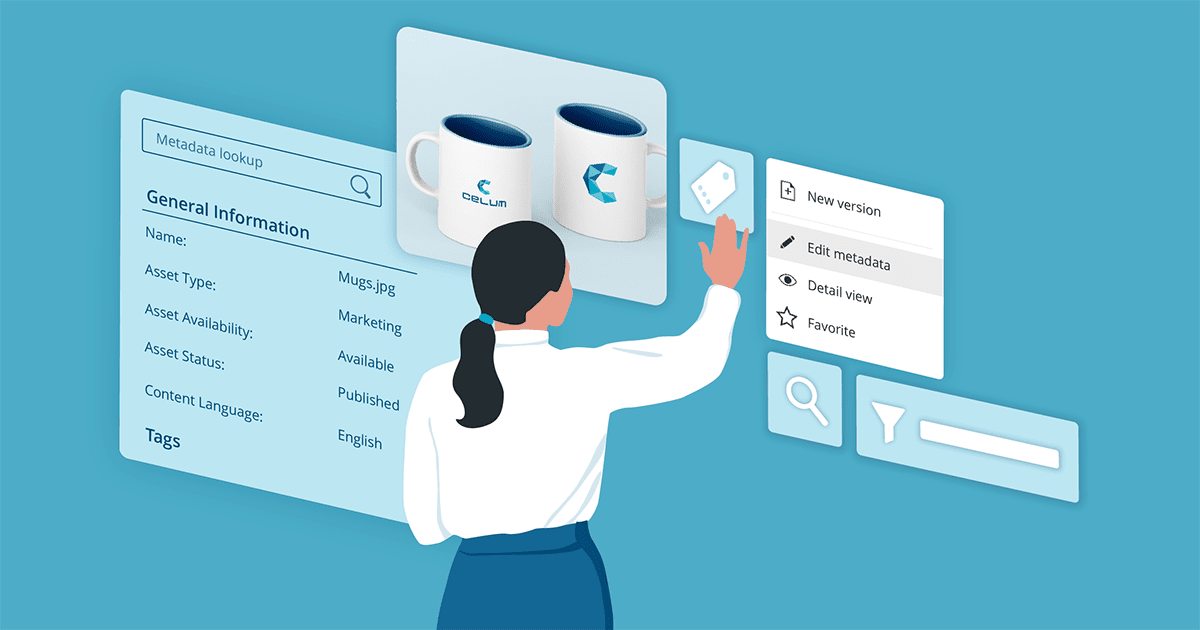 Metadata Mapping A Quick Guide For Dam Users 
