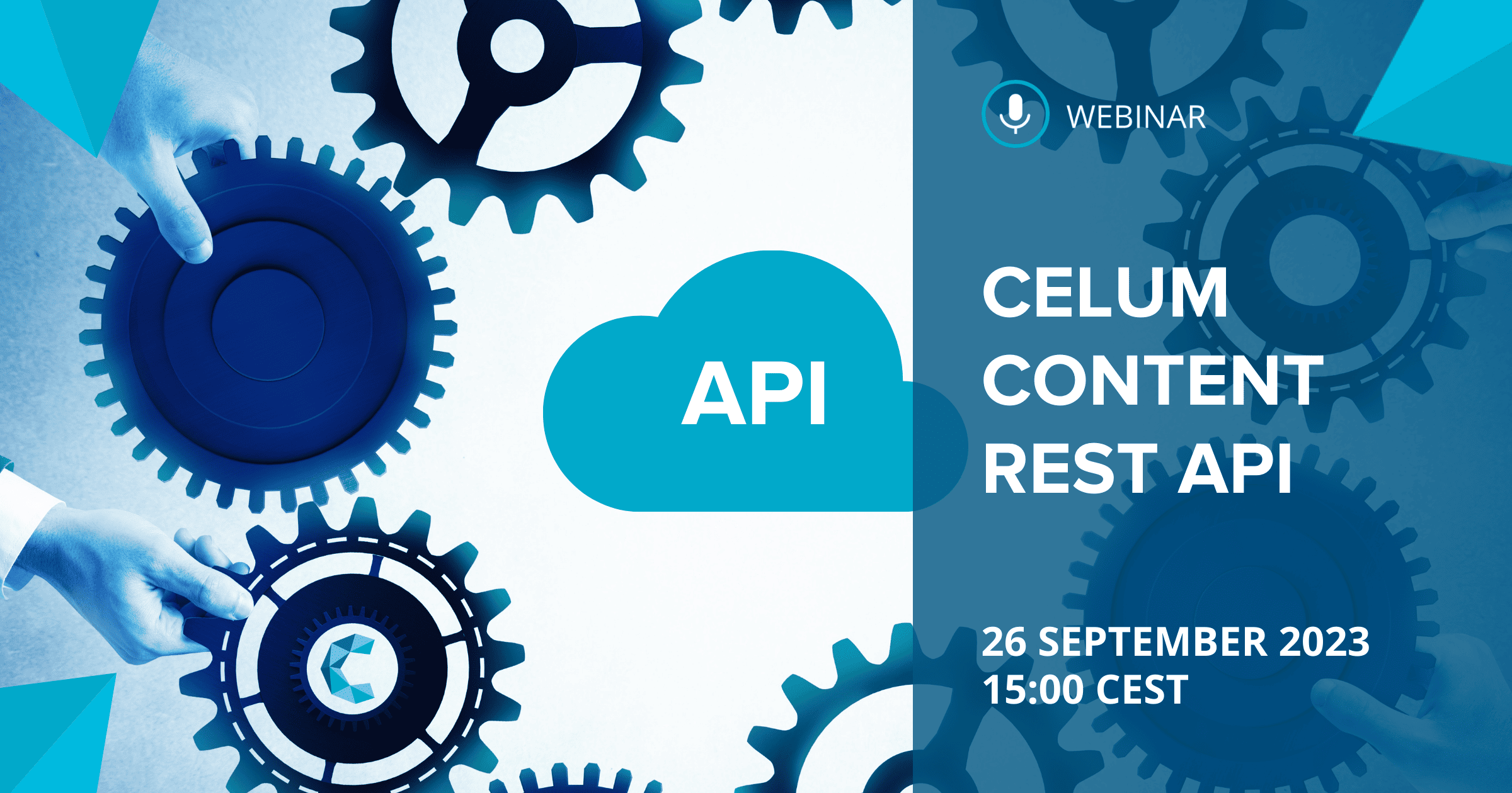 Reduce Complexity and Costs with the New CELUM REST API